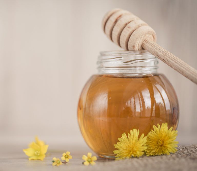 Bee Foraging | How Do Bees Forage?