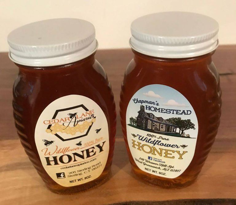 Bee Foraging | How Do Bees Forage?