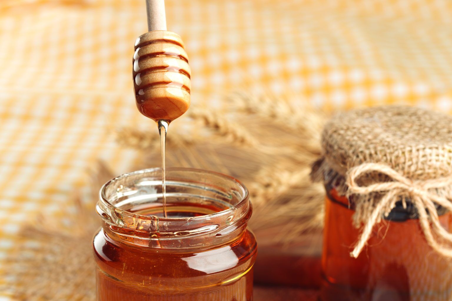 Honey Bee Colonies | What Are They & How Do They Work?