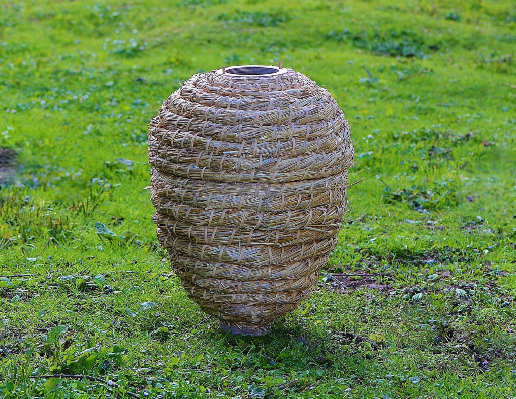 Types Of Beehives | Most Popular Types Of Beehives